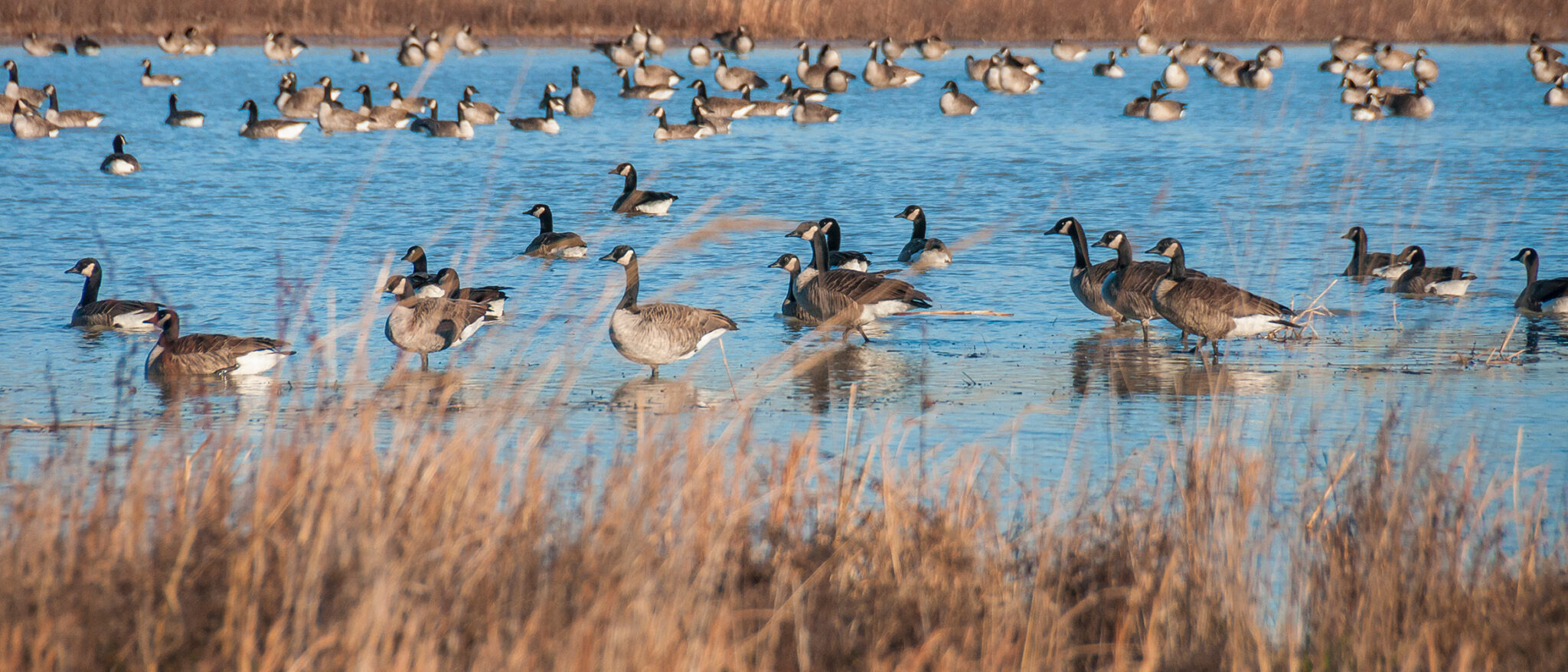 Things to Do - Talbot County